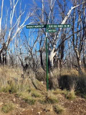 Blue Rag Range 4WD Track | High Country 4WD | Home of Ironman4x4 In Sale